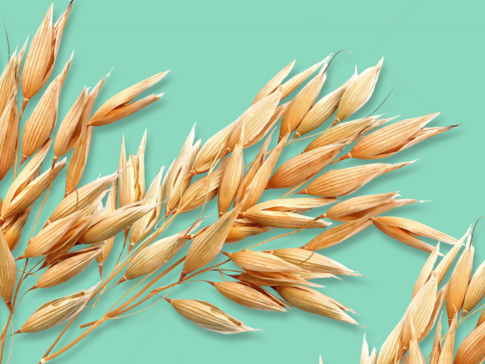 VITACEL® HF Oat Fiber