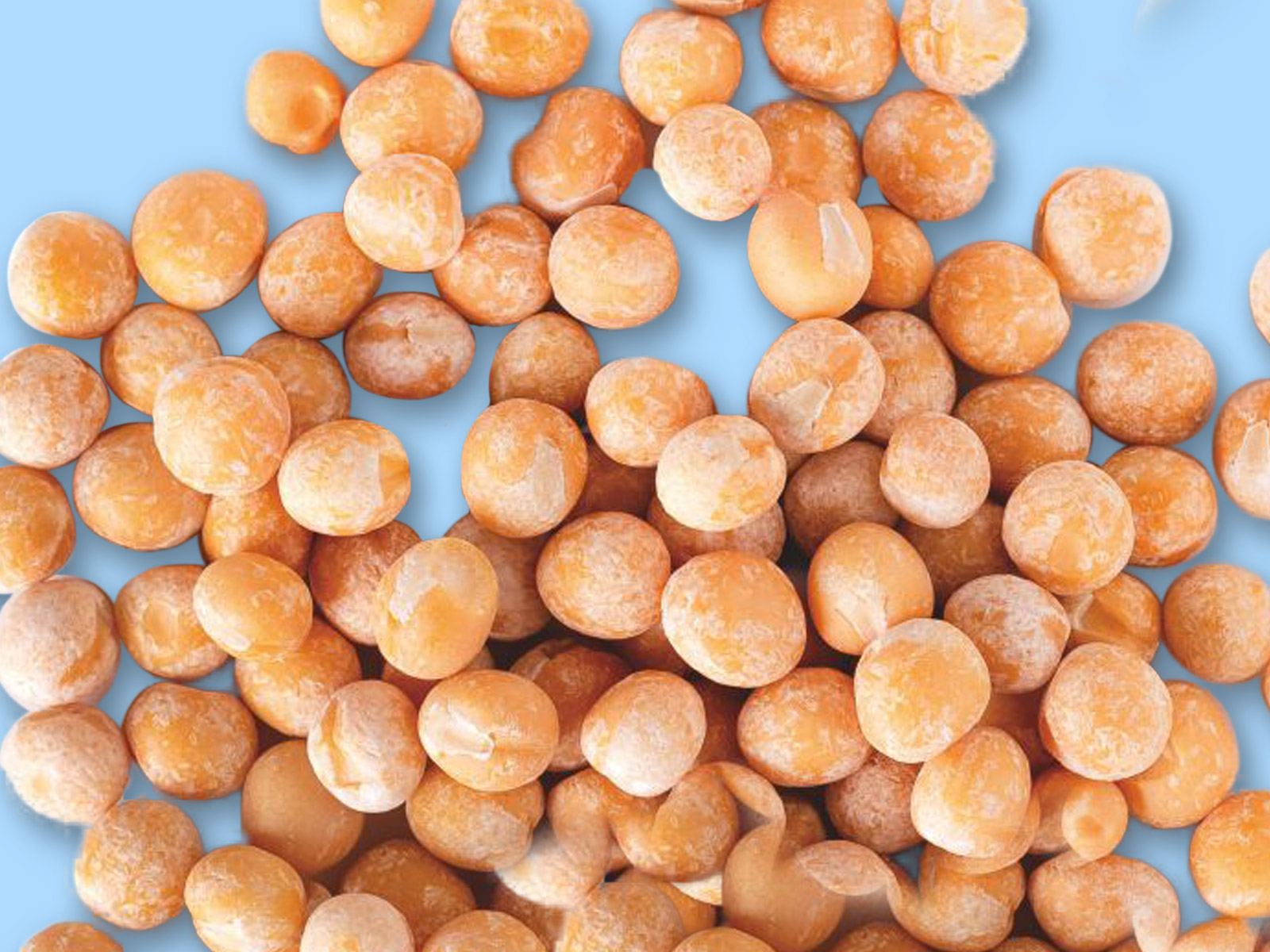 VITACEL® EF Pea Fiber