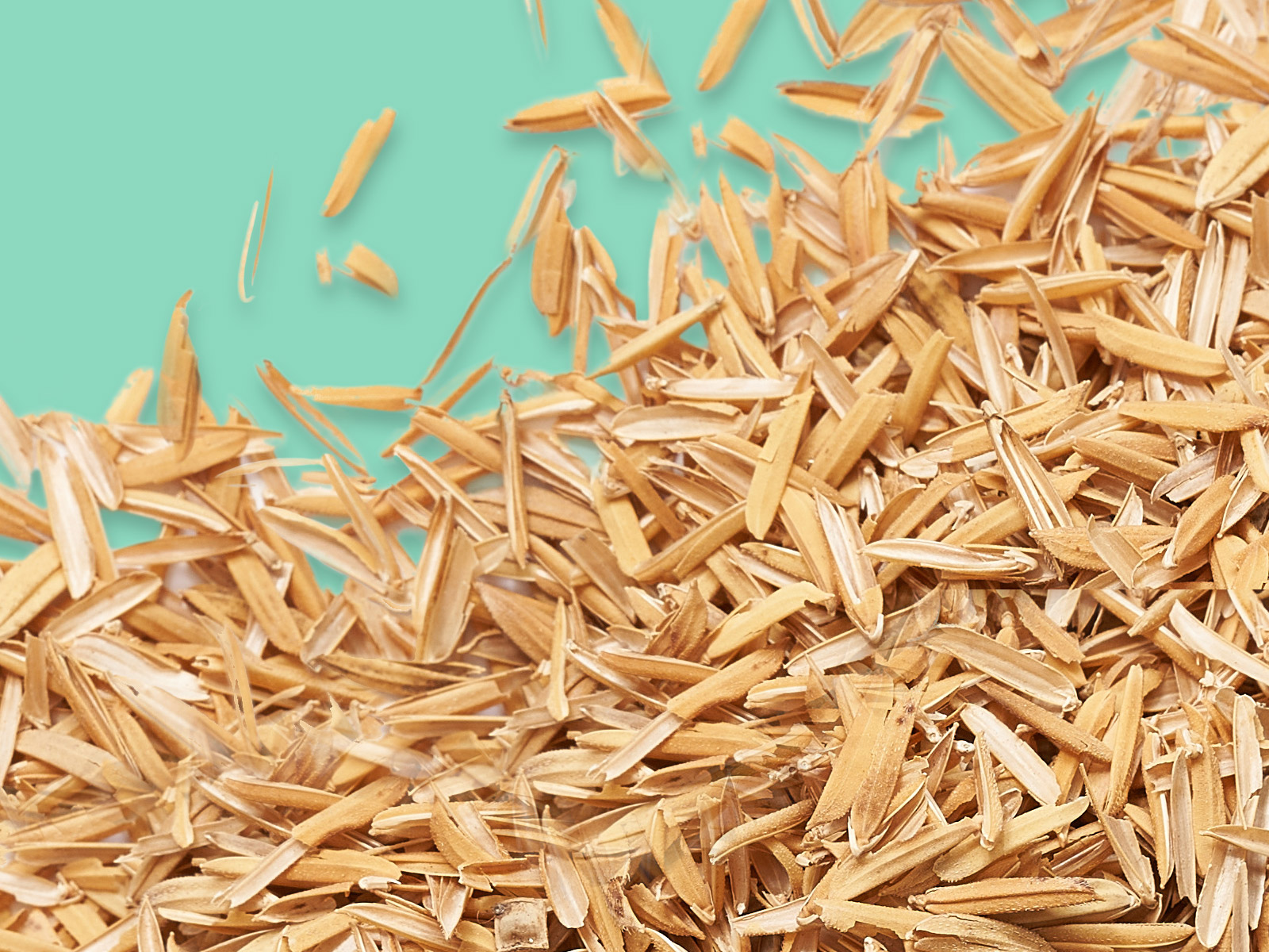 VITACEL® RF Rice Fiber