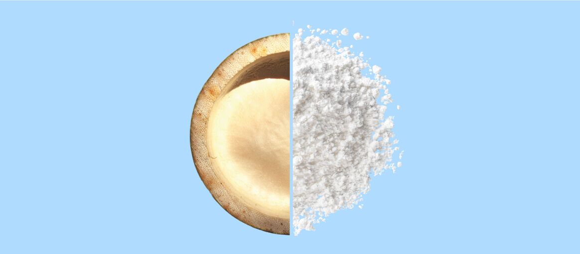 VITACEL® SF Sugar Cane Fiber